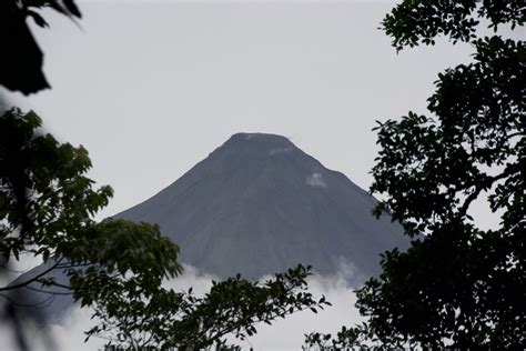 Dsc 0281 Continuum Loop Inc