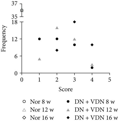 Histological Analysis Of Aortic Calcification With Von Kossa Staining Download Scientific
