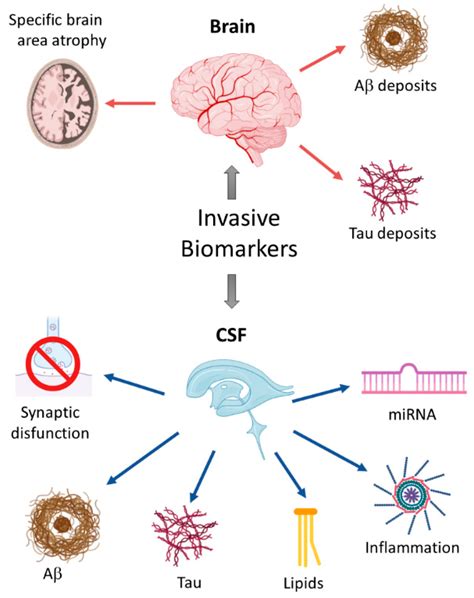 Biomarkers For Alzheimers Disease Early Diagnosis