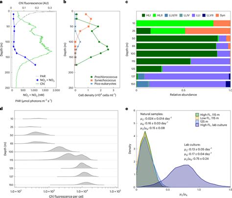 Nutrient Uptake Of Naturally Occurring Prochlorococcus Populations At Download Scientific