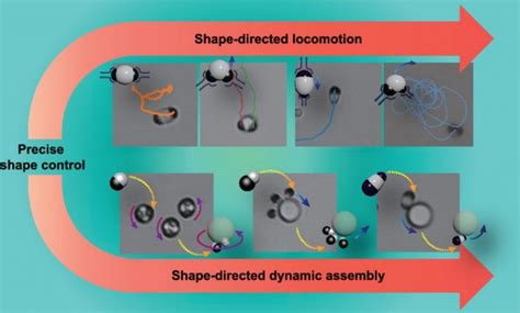 Publications Wanglab