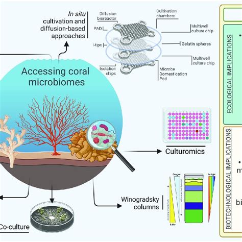 Overview Of The Current Knowledge Of Culture Dependent Methods Being
