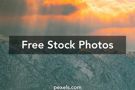 Kurd Dokumentmi Photos Download The Best Free Kurd Dokumentmi Stock