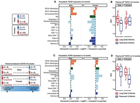 Molecular And Cellular Level Research Shows A Sharp Sex Divide For Long
