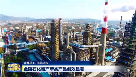 【扎实开展安全管理强化年行动】金陵石化开展直接作业安全督查“123”活动 中国石化网络视频