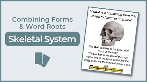 Vagin O Colp O Master Medical Terms