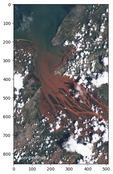 Sentinel Hub Ogc Services — Sentinel Hub 3101 Documentation