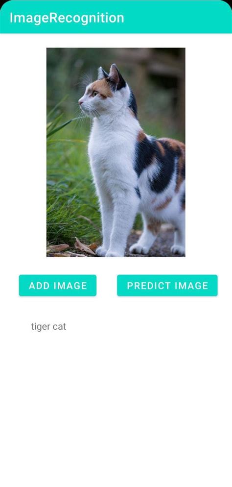 image recognition classification android app using tensorflow model