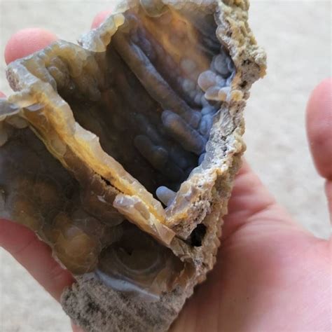 Fossilized Coral Crystal Druzy Pieces Lot Of 4 2 21 9 25 Etsy