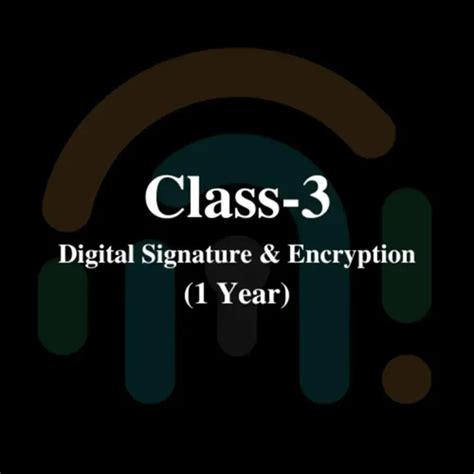 Encryption 1 Year Class 3 Digital Signature Service At Best Price In