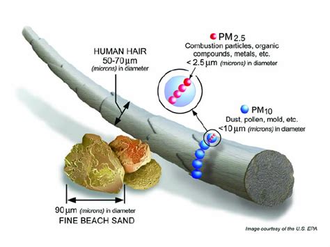 1 Relationship Of Particulate Matter To The Size Of A Human Hair Download Scientific Diagram