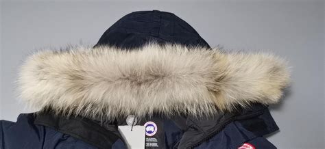 Pls Qc Feiyu Langford R Fashionreps