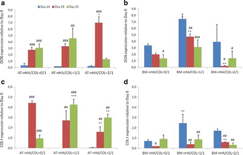 Gene Expression Profiles Of Ocn And Col1 A Gene Expression Of Ocn In