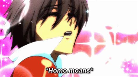 Homo Moans Moan  Moan Homo Moans Anime Discover And Share S