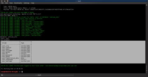 Introduction Sqlmap Web Injection Takeover