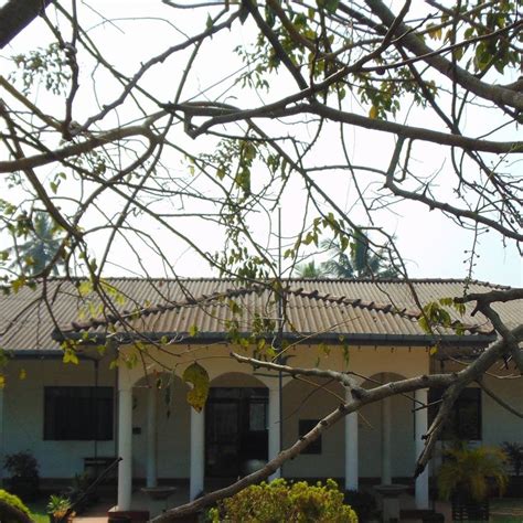 Plant Virus Indexing Center