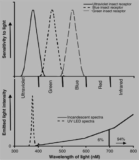 3 Insect Vision And Lighting Spectra The Upper Graph Represents A Download Scientific Diagram