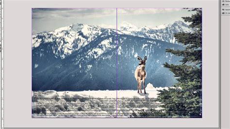 Creating Text Boxes In Indesign Youtube