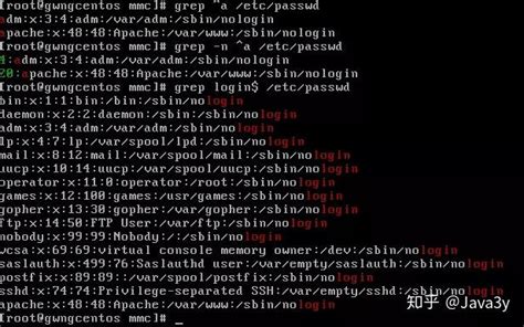 看完这篇Linux基本的操作就会了 知乎
