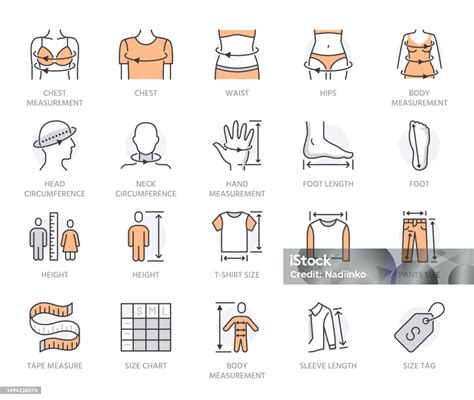 옷 크기 플랫 라인 아이콘이 설정되었습니다 신체 측정 허리 둘레 엉덩이 가슴 소매 길이 키 벡터 삽화 의류 크기 표에 대한 개요 표지판 오렌지 색상 편집 가능한 획 측정에