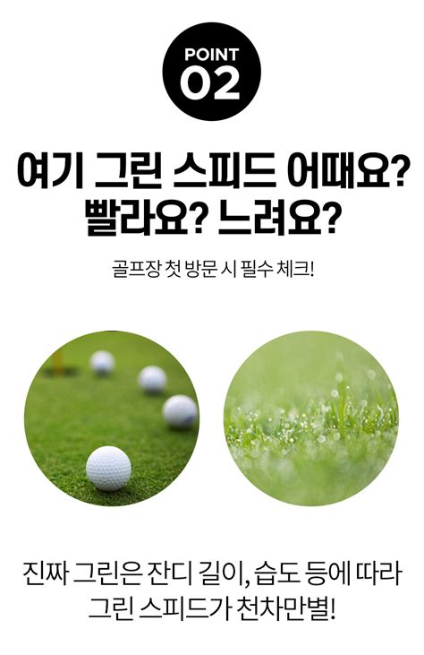 핫딜 리카타 롱 Gf9103fr 퍼팅 매트 세트 딜팡 골프용품 전문쇼핑몰