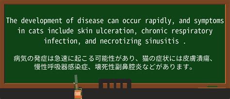 【英単語】sinusitisを徹底解説！意味、使い方、例文、読み方 おもしろい英文法