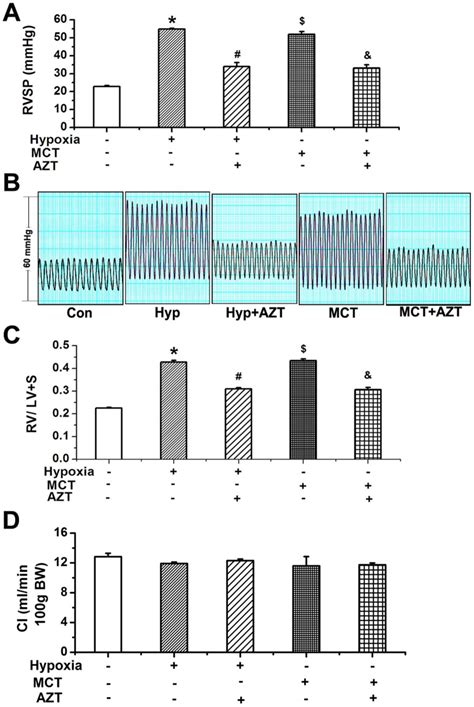 TERT Inhibition Reversed PH Induced By Hypoxia Or MCT In Rats