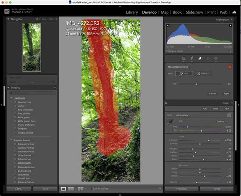 P New AI Powered Generative Remove Early Access Page Adobe Community
