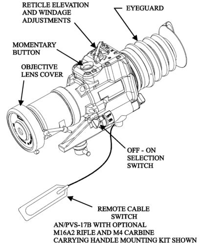 PVS 17B C Flashcards Quizlet