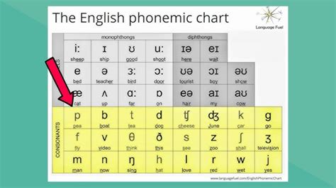 Phonology Chart