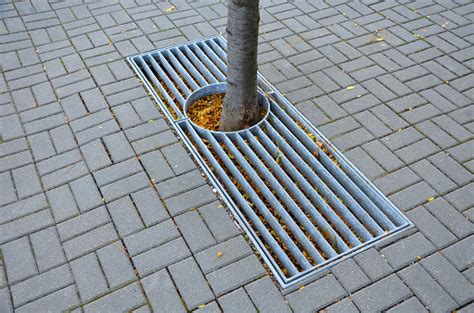 Rectangleshaped Lattice With A Circular Hole For A Tree Trunk That Is