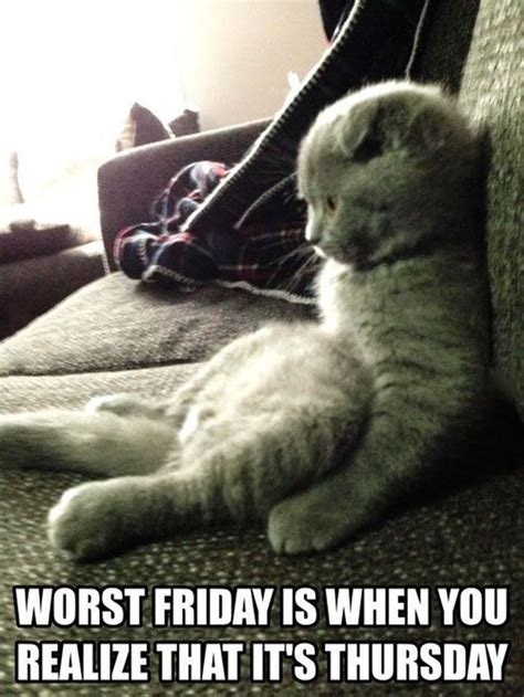 Funny Thursday Memes Best Thursday Pictures In 2023