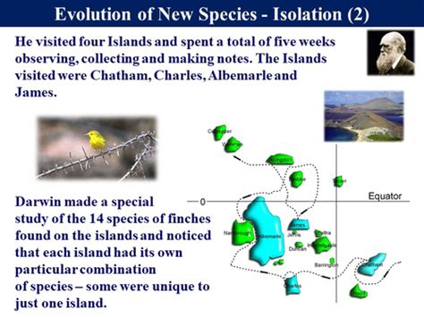 Bio613 Speciation And Fossil Record Teaching Resources Bio613 Speciation And Fossil Record Teaching Resources
