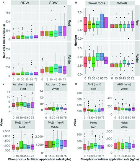 Root System Traits Contribute To Variability And Plasticity In Response To Phosphorus