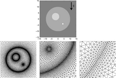 Figure 1 From The Spatially Distributed Dynamic Transmembrane Voltage Of Cells And Organelles