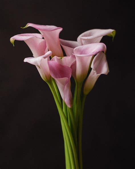 Красивый букет розовых цветов в вазе