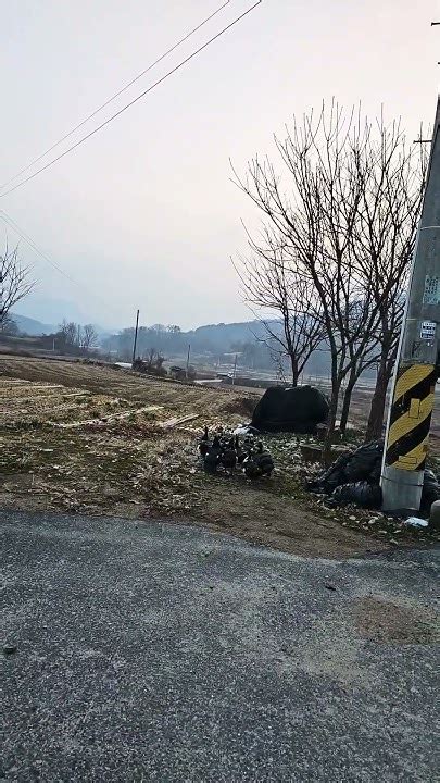 기러기 가족 외출 Youtube