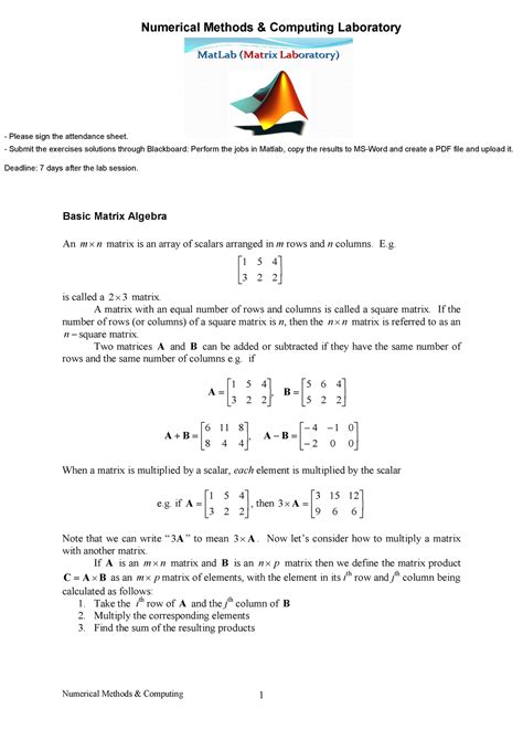 Numerical Methods Lab Questions Numerical Methods And Computing