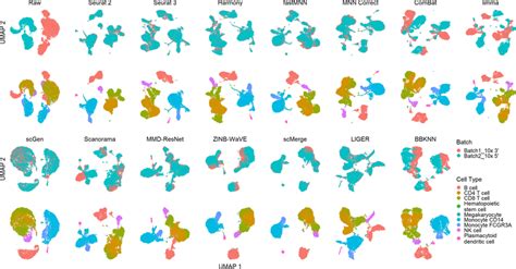 Qualitative Evaluation Of 14 Batch Effect Correction Methods Using UMAP