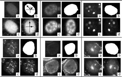 Figure 21 From Object Based Image Classification And Retrieval With Deep Feature