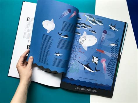 Книга Океан - Knigoteka.com.ua