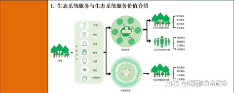 生态系统模型：solves、dndc、cmip6、gee林业、apsim、invest、无人机遥感、arcgis pro模型等 知乎