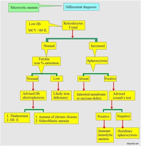 Anemia Part 1 Anemia Classification Diagnosis And Routine Work Up