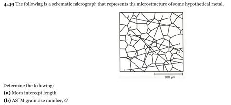Solved The Following Is A Schematic Micrograph That Chegg