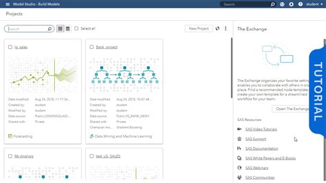 Forecast Overrides Using Time Series Attributes In Sas Visual