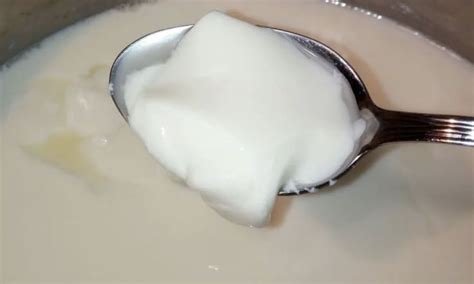 Сыр Филадельфия: готов за полчаса