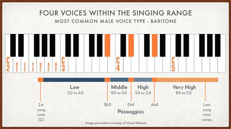 Vocal Range Test Hot Sex Picture