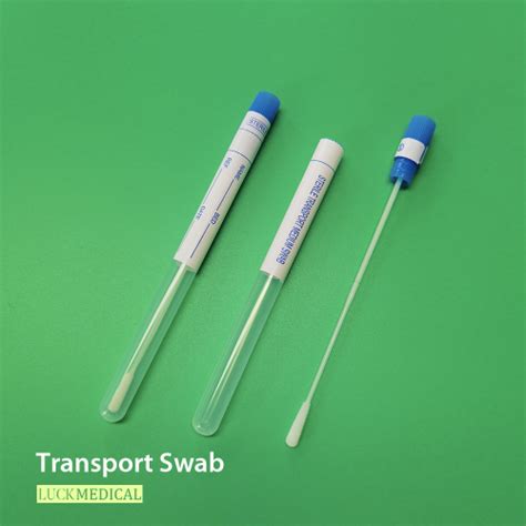 Sampling Transport Swabs Flocking Oral Swab High Quality Sampling Transport Swabs Flocking Oral