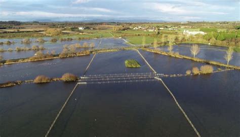Future Of Ardee Bypass Back Under Spotlight Lmfm