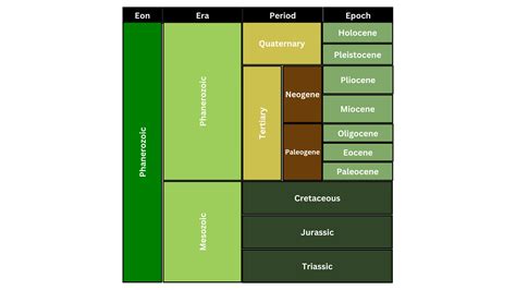 History Of Classifying Organisms Quizlet